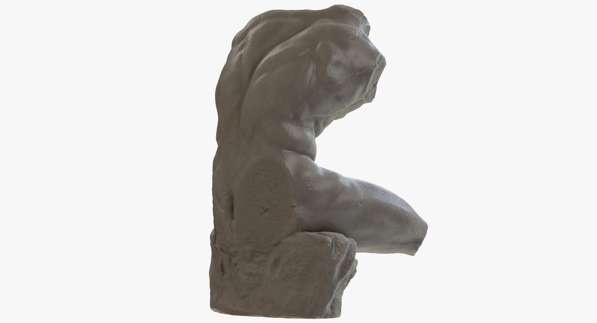 3D Model Belvedere Torso - TurboSquid 1325731