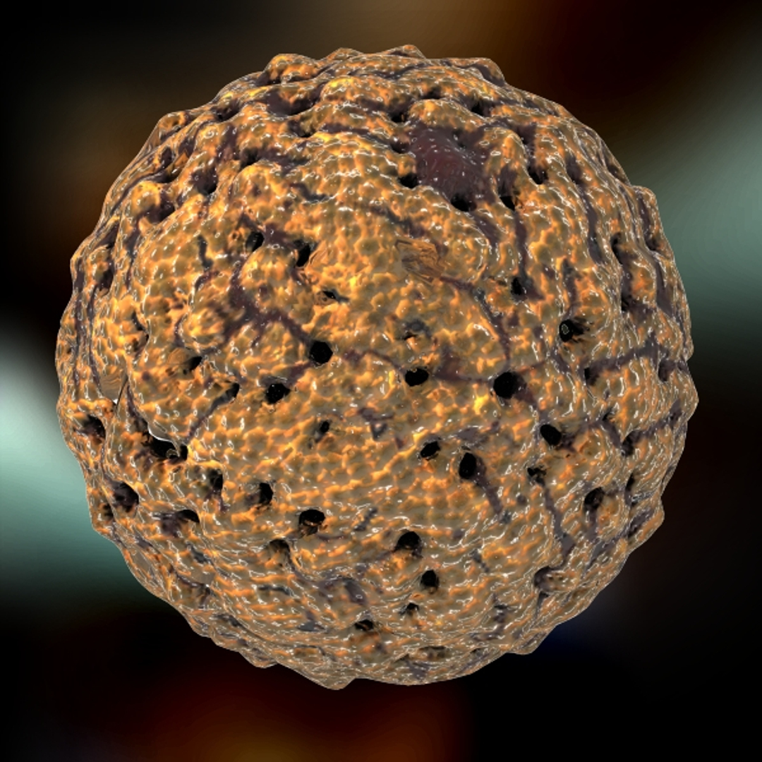 3d dengue virus