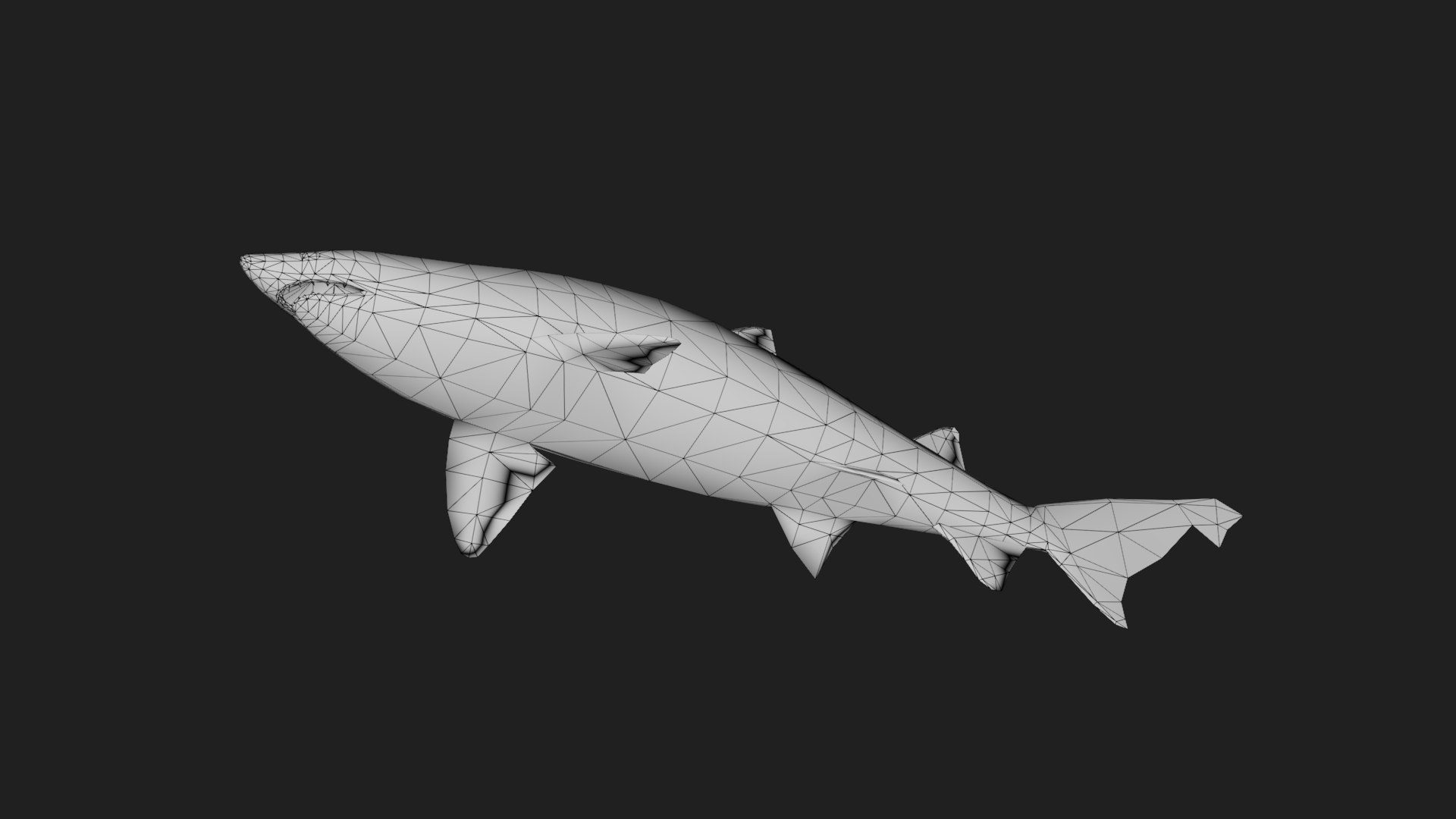 Shark 3D Model - TurboSquid 2121550