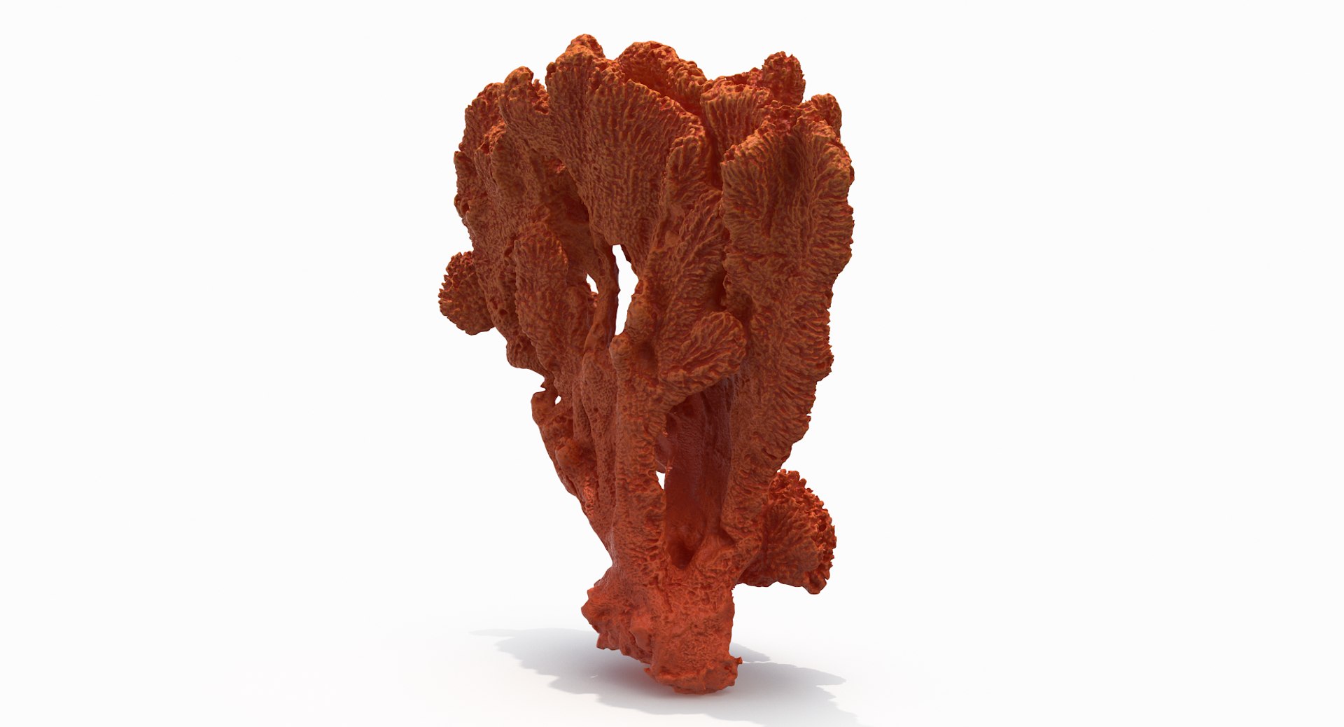 3D Sponge Pbr Model - TurboSquid 1415306