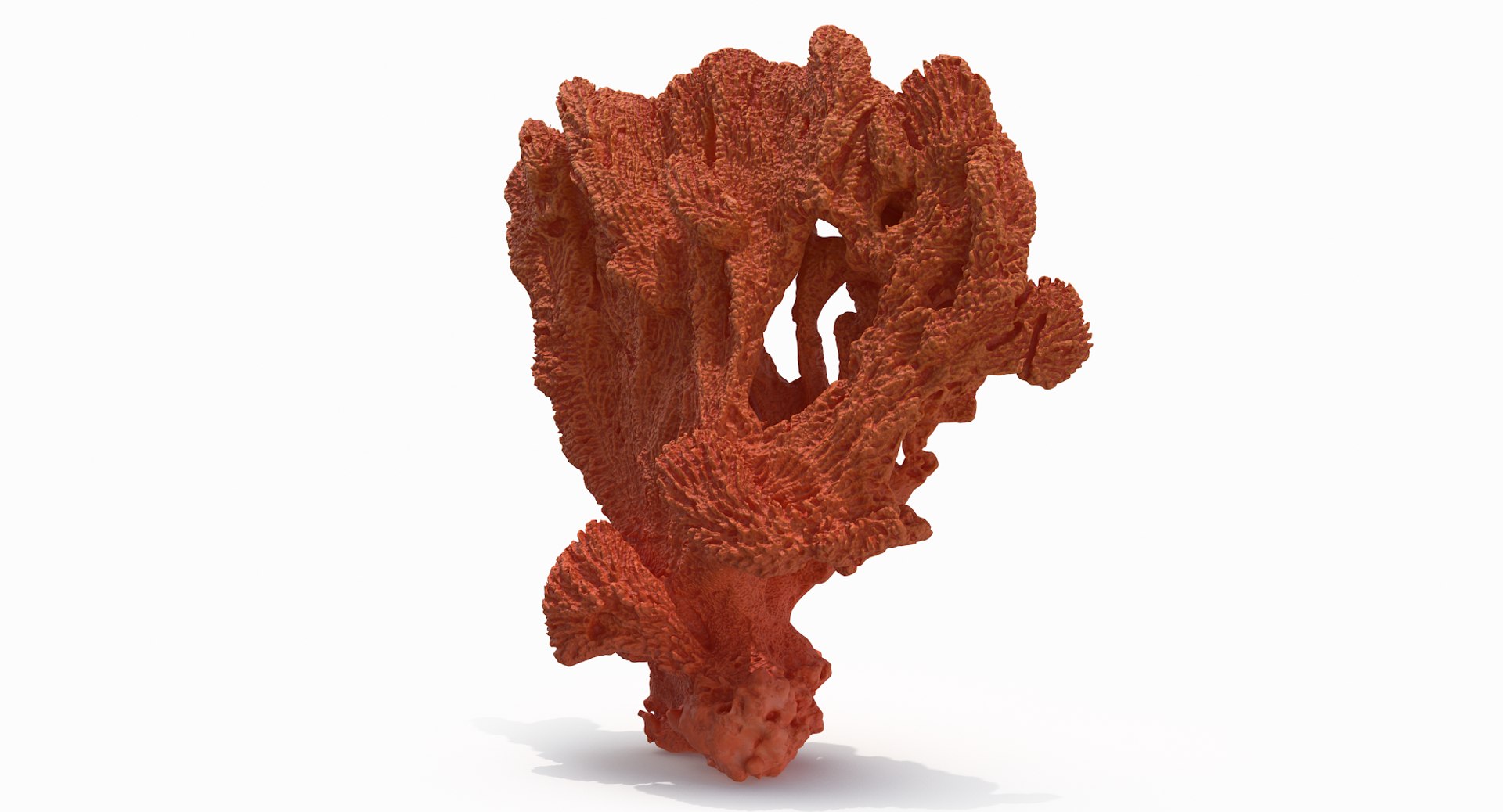 3D Sponge Pbr Model - TurboSquid 1415306