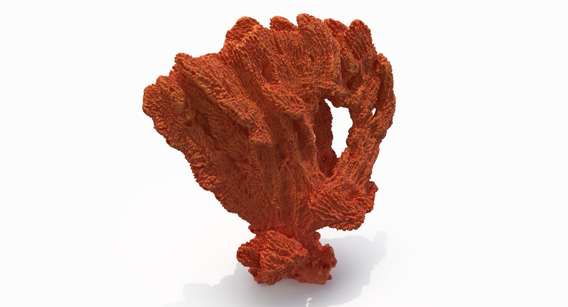 3D Sponge Pbr Model - TurboSquid 1415306