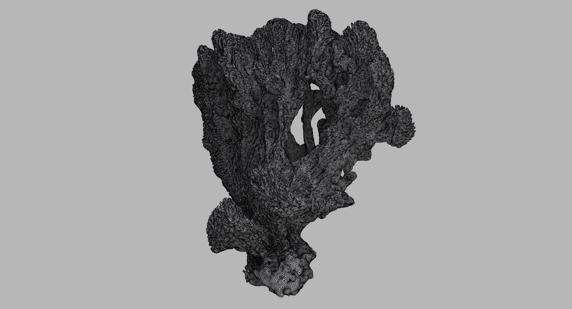 3D Sponge Pbr Model - TurboSquid 1415306