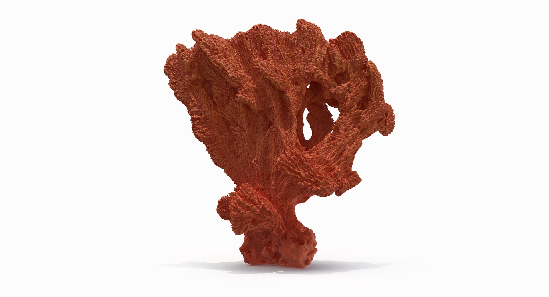 3D Sponge Pbr Model - TurboSquid 1415306