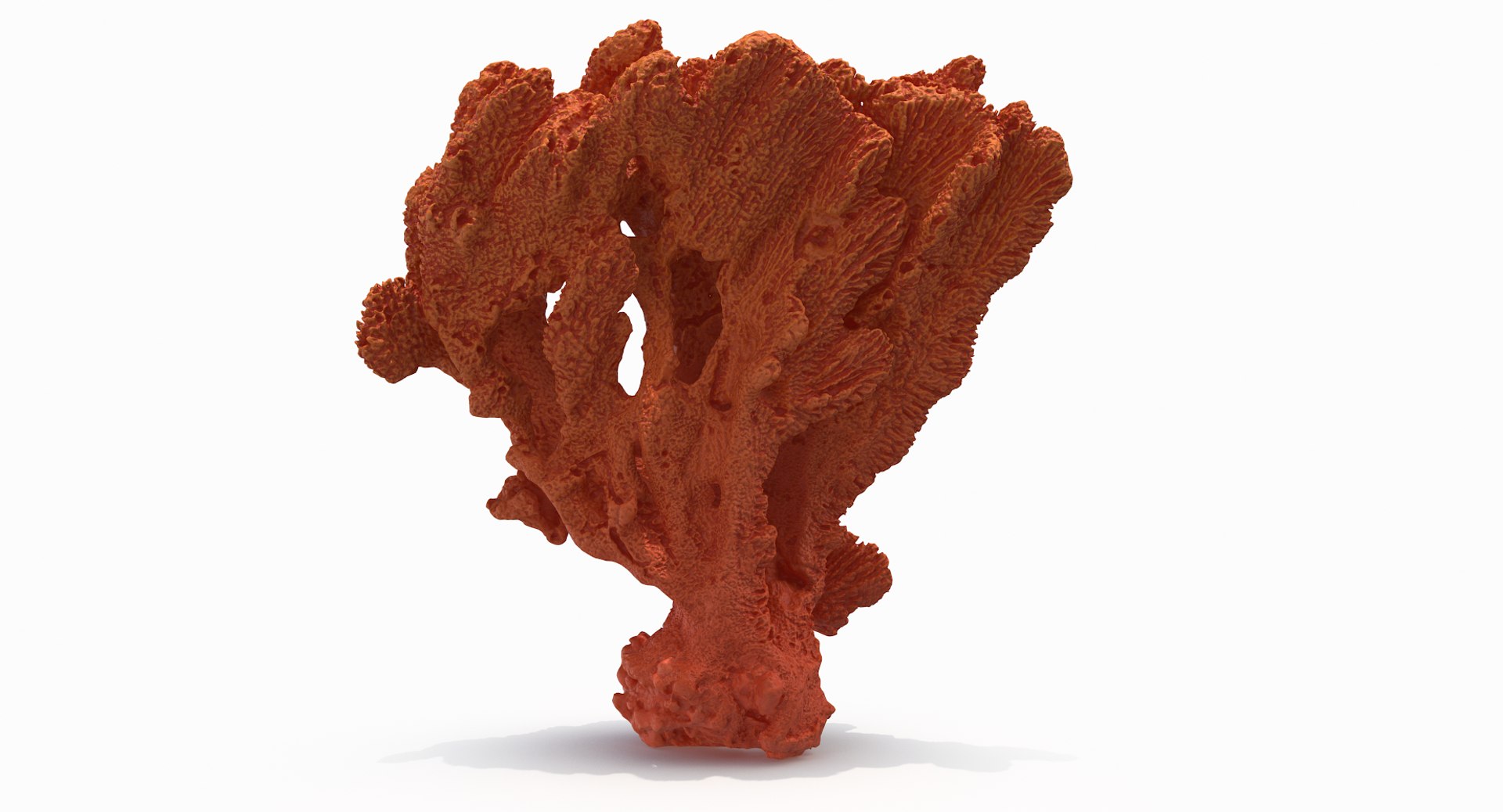 3D Sponge Pbr Model - TurboSquid 1415306