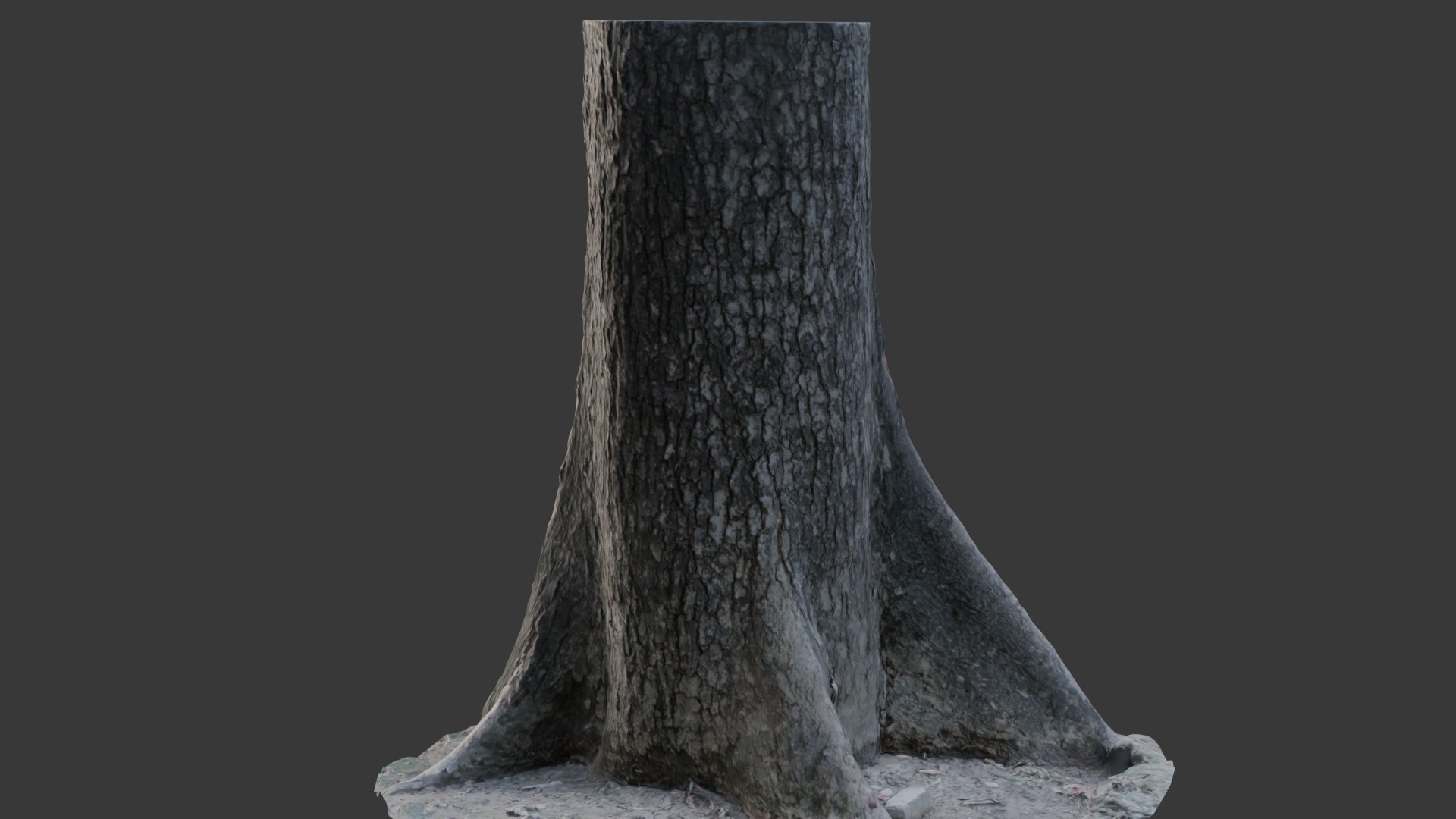 Old Tree Stump 3D Scan 3D Model - TurboSquid 2395285