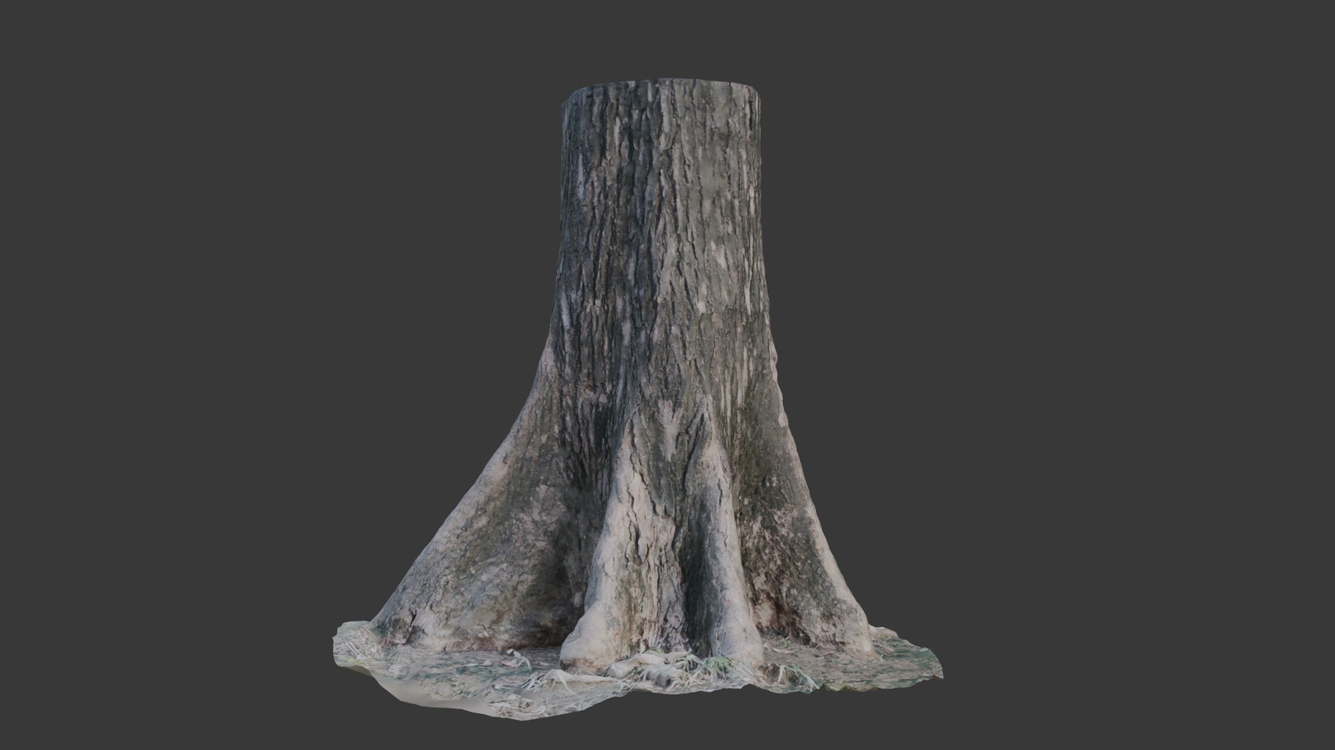 Old Tree Stump 3D Scan 3D Model - TurboSquid 2395285