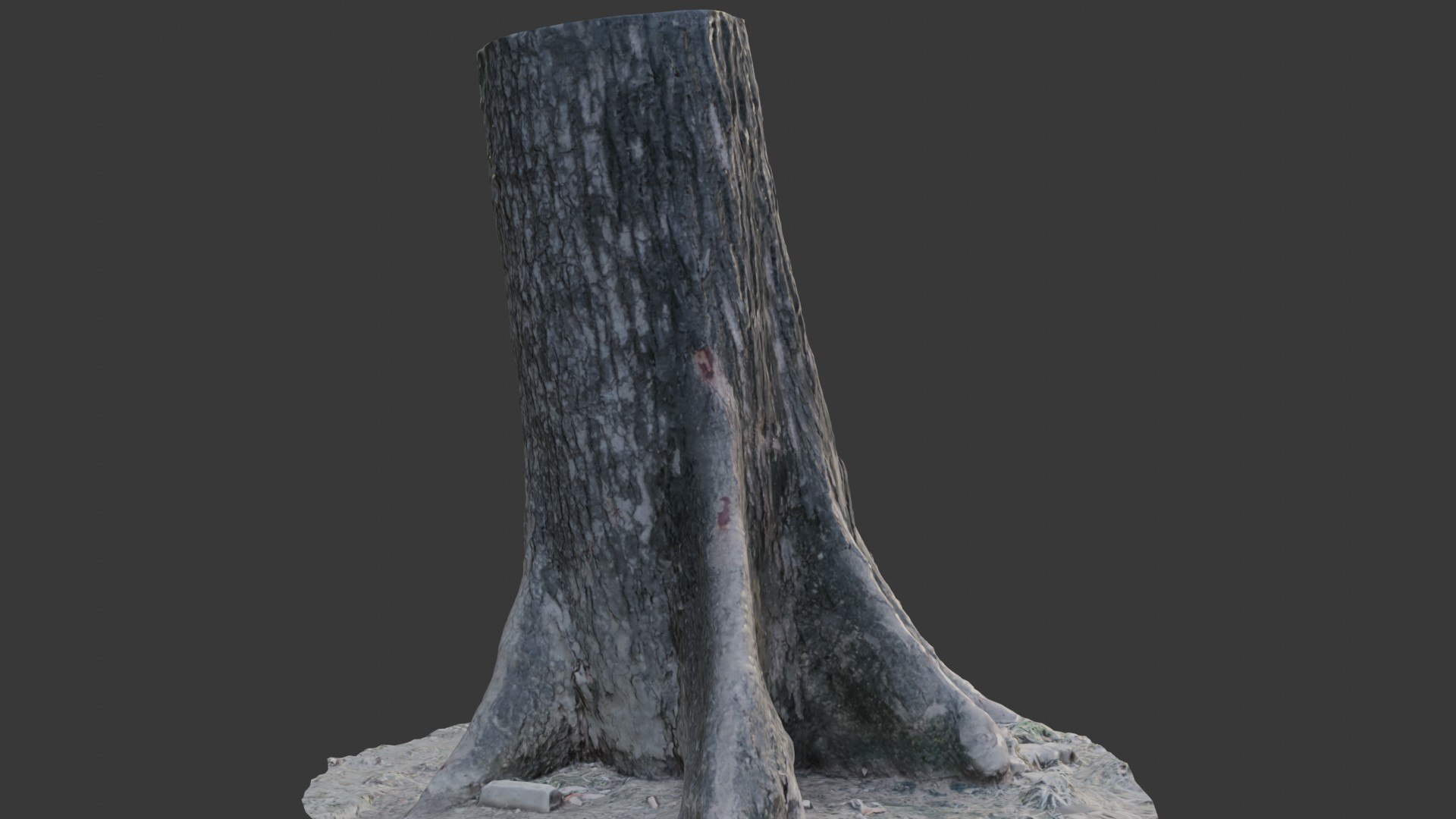 Old Tree Stump 3D Scan 3D Model - TurboSquid 2395285