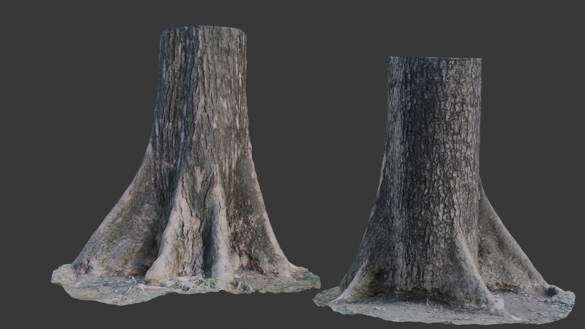 Old Tree Stump 3D Scan 3D Model - TurboSquid 2395285