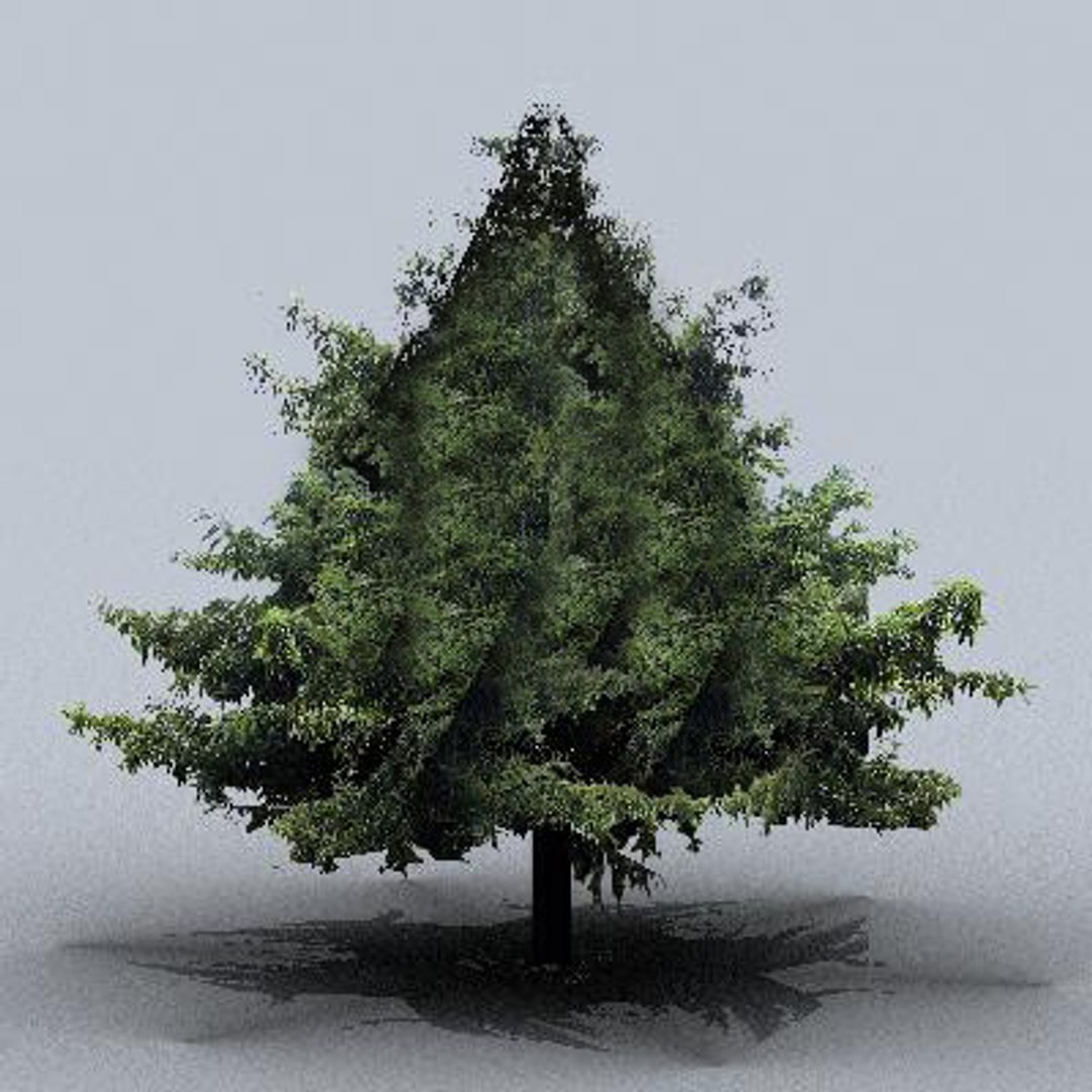 Tree 3d Model