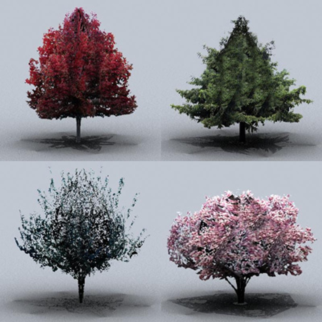 Tree 3d Model