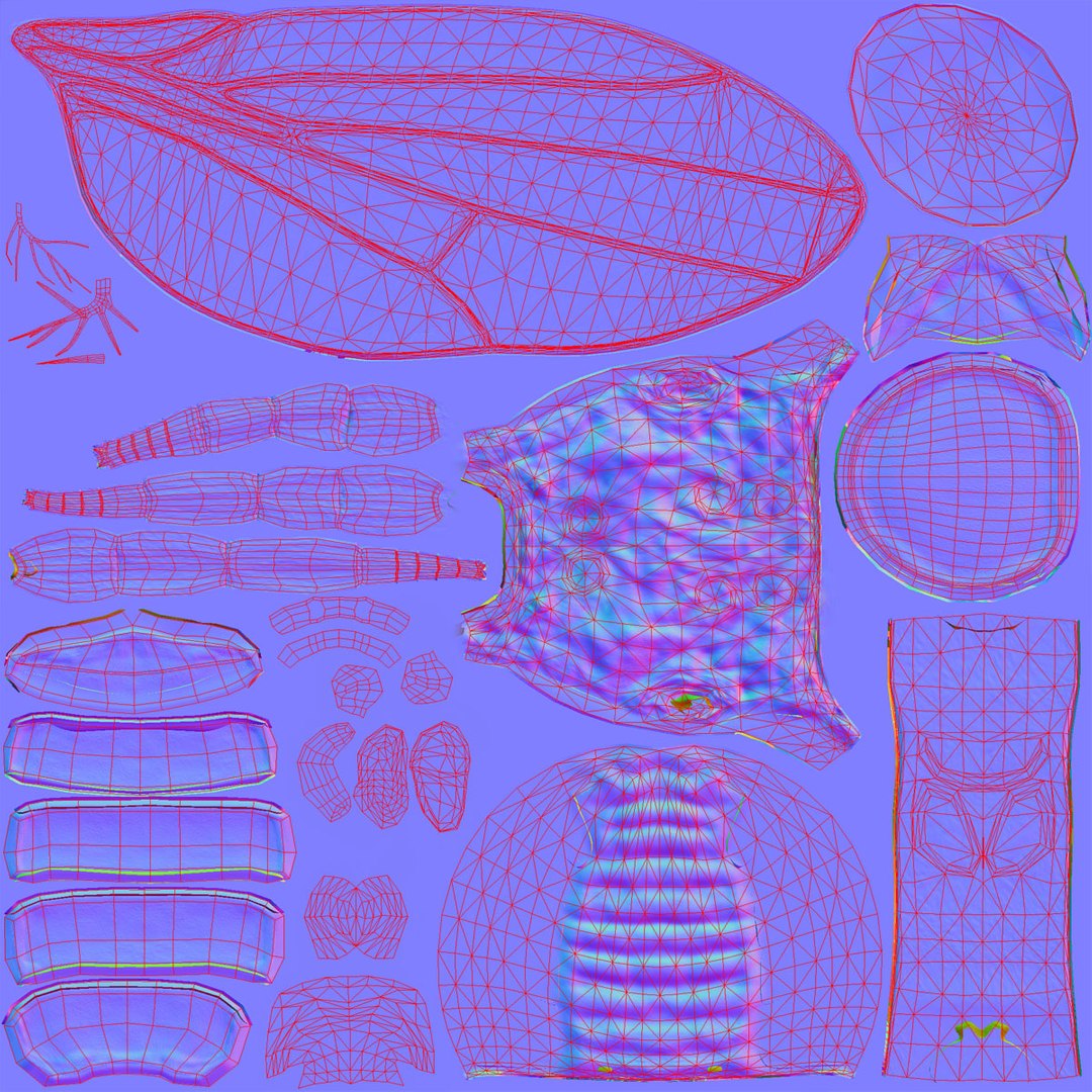 Drosophila Melanogaster Fruit Fly Obj