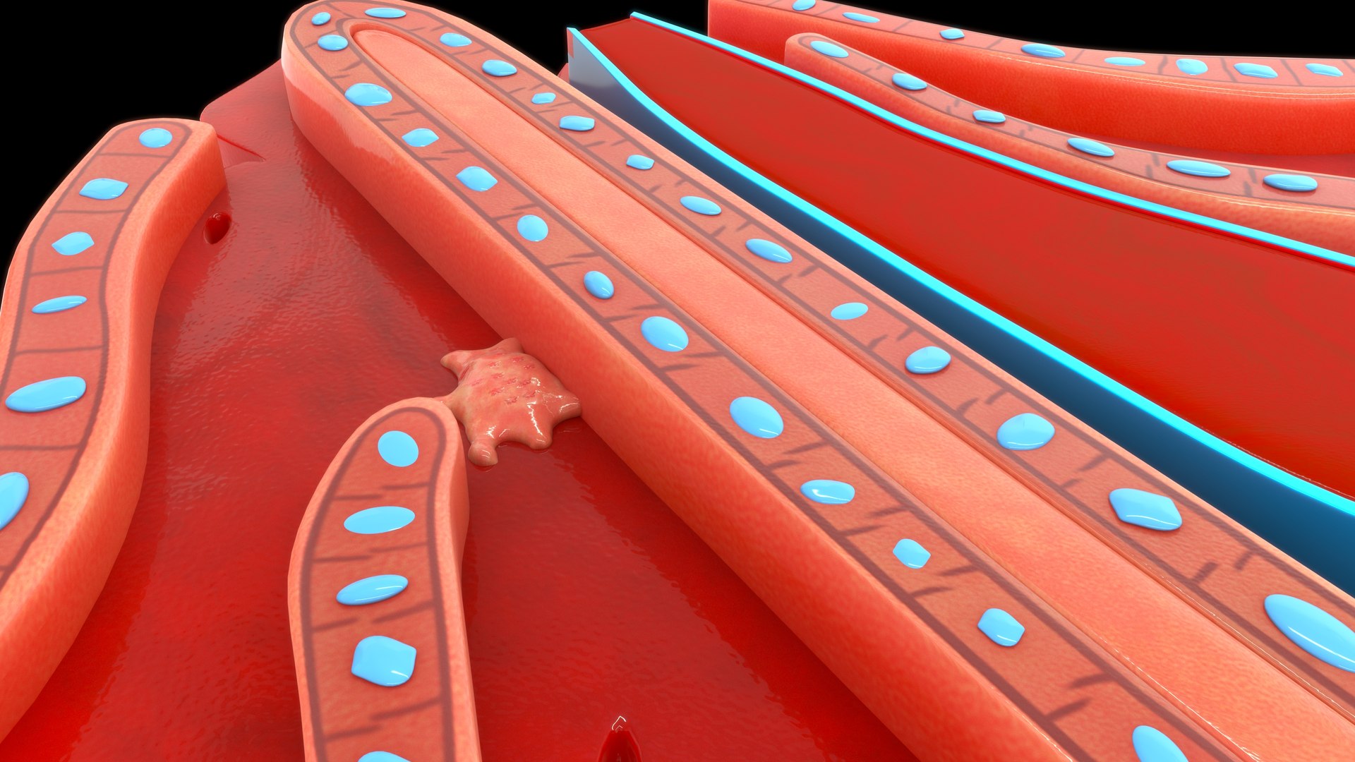 Hepatic Lobule 3D - TurboSquid 2189282