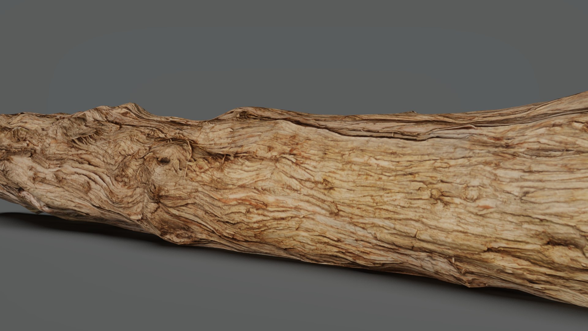 3D Ceder Trunk 3D Scan Model - TurboSquid 2206630