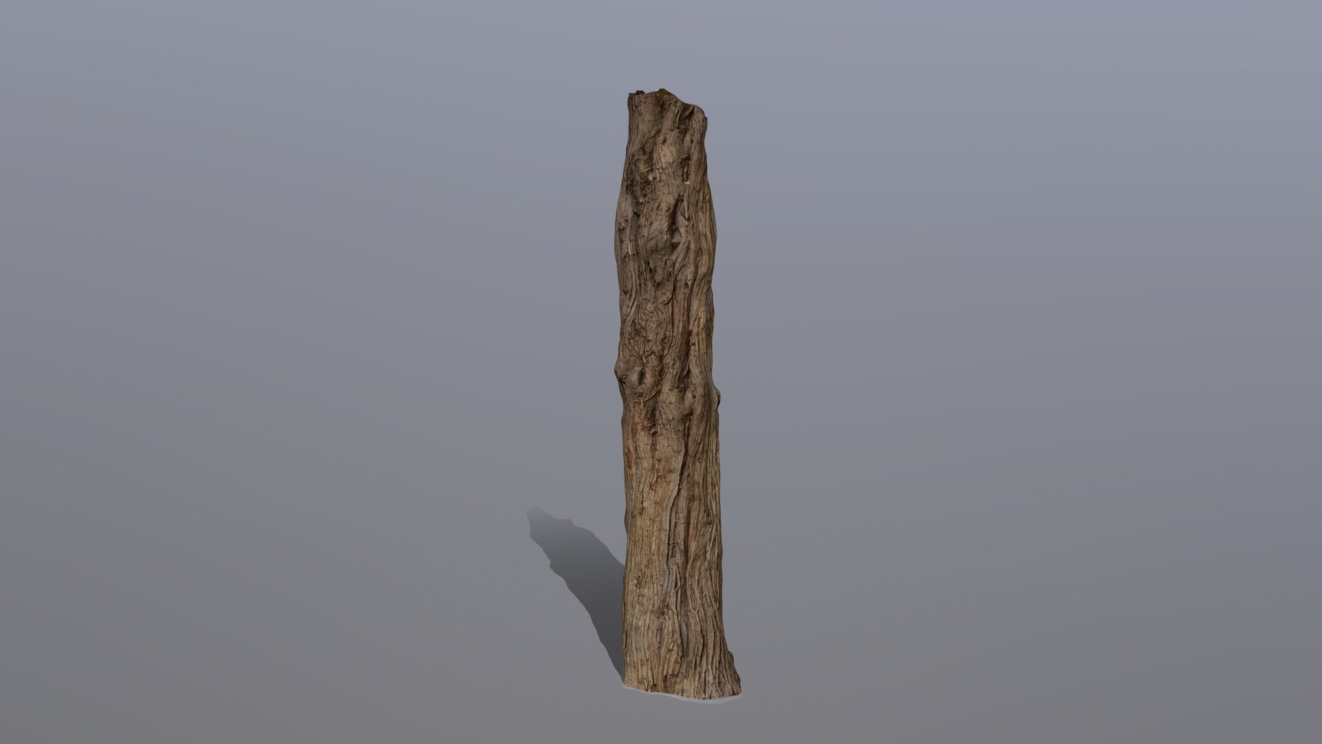 3D Ceder Trunk Scan Model - TurboSquid 2206630