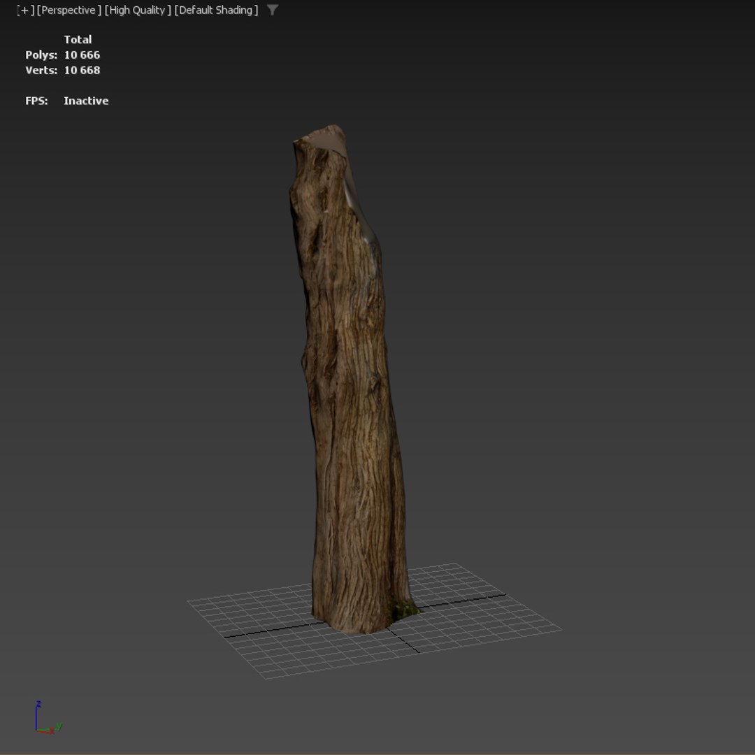 3D Ceder Trunk Scan Model - TurboSquid 2206630