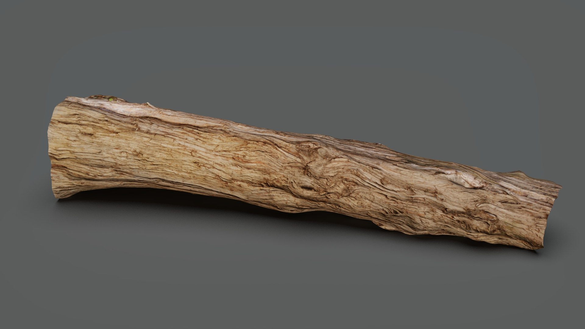 3D Ceder Trunk Scan Model - TurboSquid 2206630