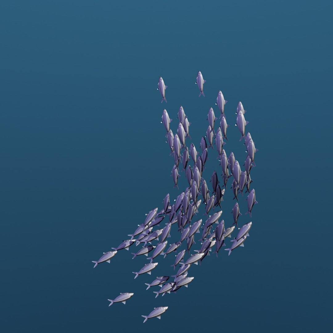 3D School Swimming Fishes Animation Model - TurboSquid 1411390