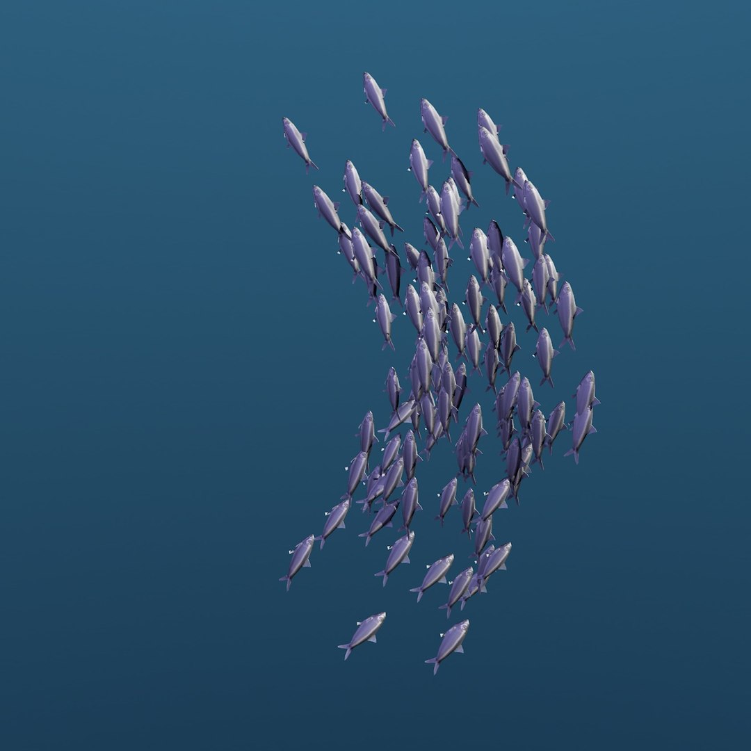 3D school swimming fishes animation model - TurboSquid 1411390