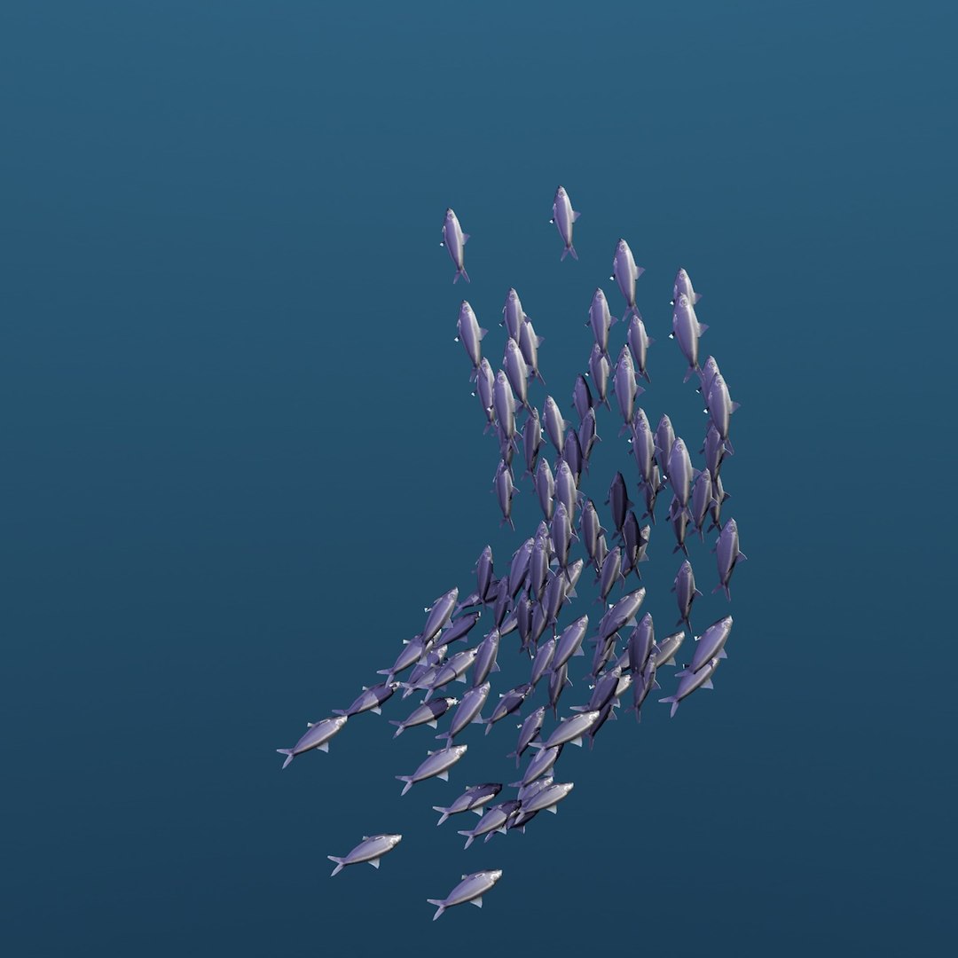 3D school swimming fishes animation model - TurboSquid 1411390