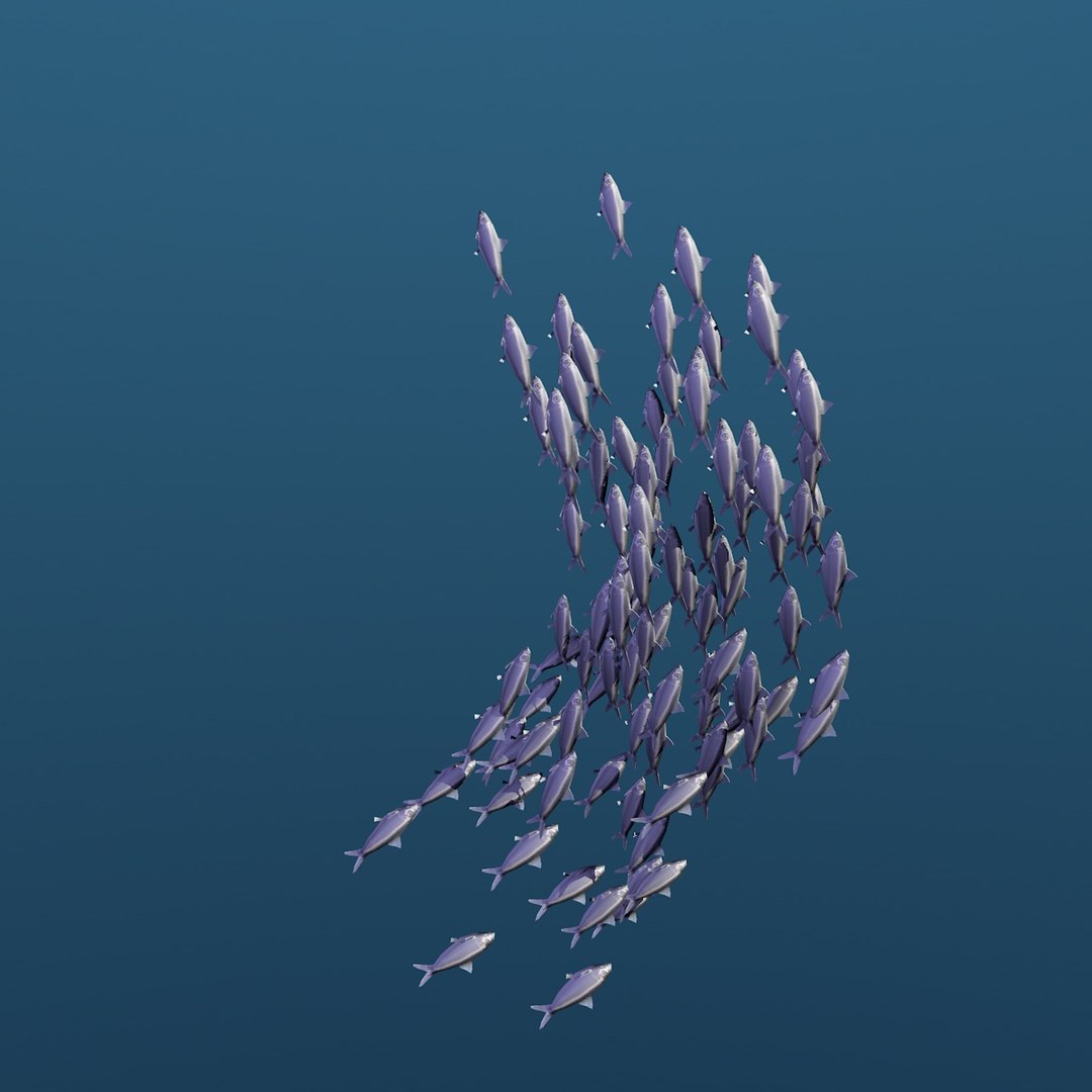 3D school swimming fishes animation model - TurboSquid 1411390