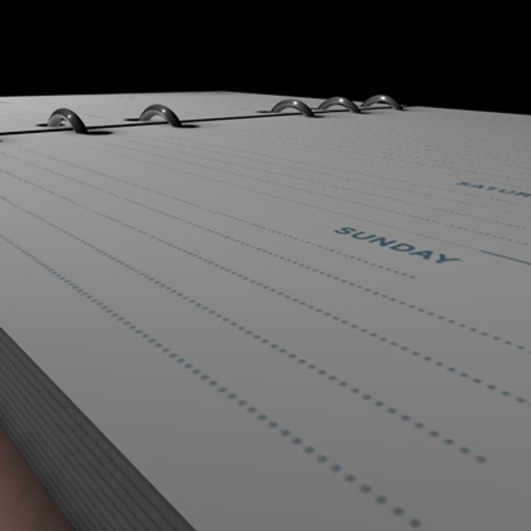 Diary Memorandum 3ds