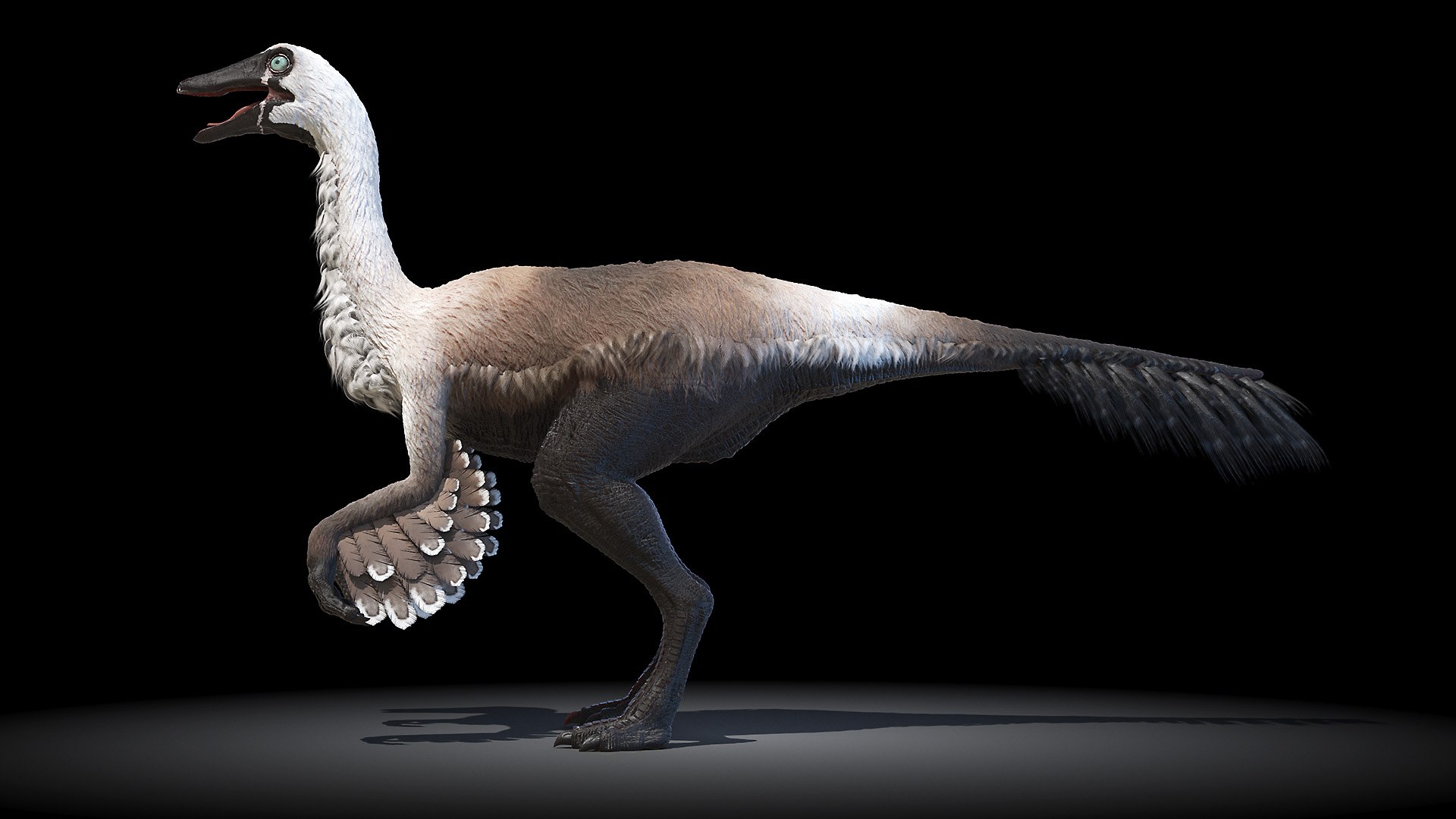 Gallinimus Gallimimus 3D Model - TurboSquid 1662092