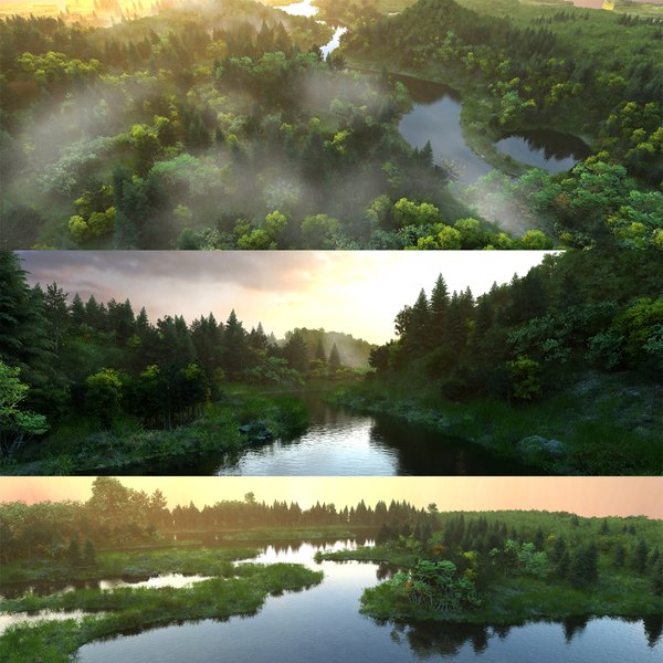 3D Forest Models | TurboSquid