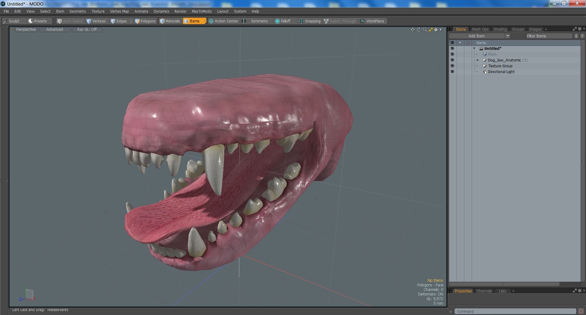 Dog Jaw Anatomic 3D Model - TurboSquid 2215474
