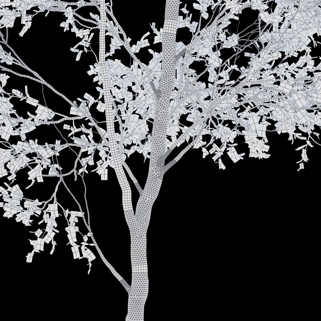 3D Forest Trees Set 01 Model - TurboSquid 1958150