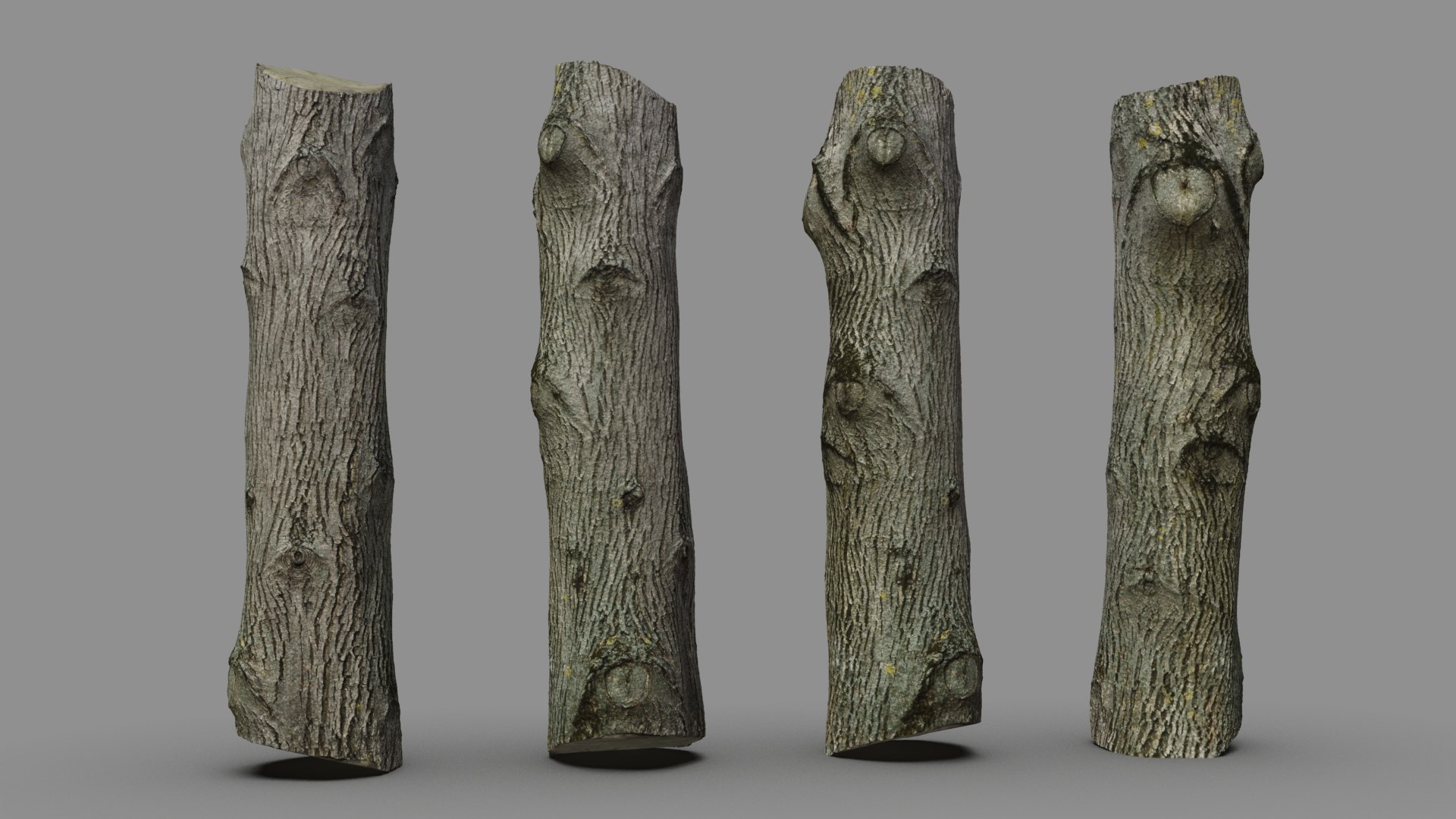 3D Model Walnut Trunk 3d Scan - TurboSquid 2209763
