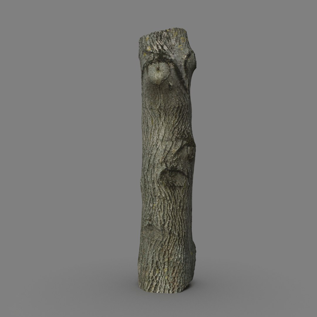 3D Model Walnut Trunk 3d Scan - TurboSquid 2209763