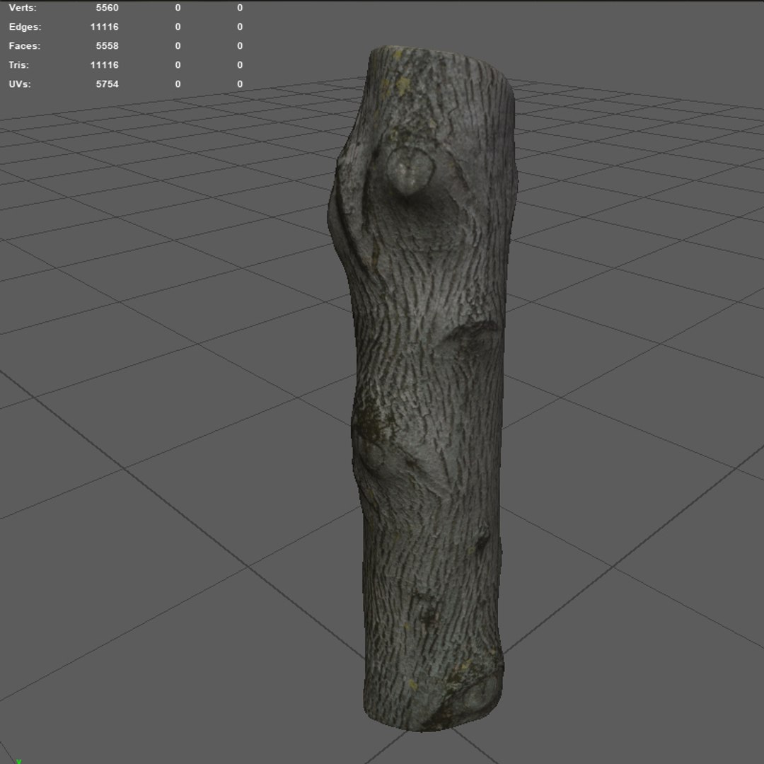 3D Model Walnut Trunk 3d Scan - TurboSquid 2209763