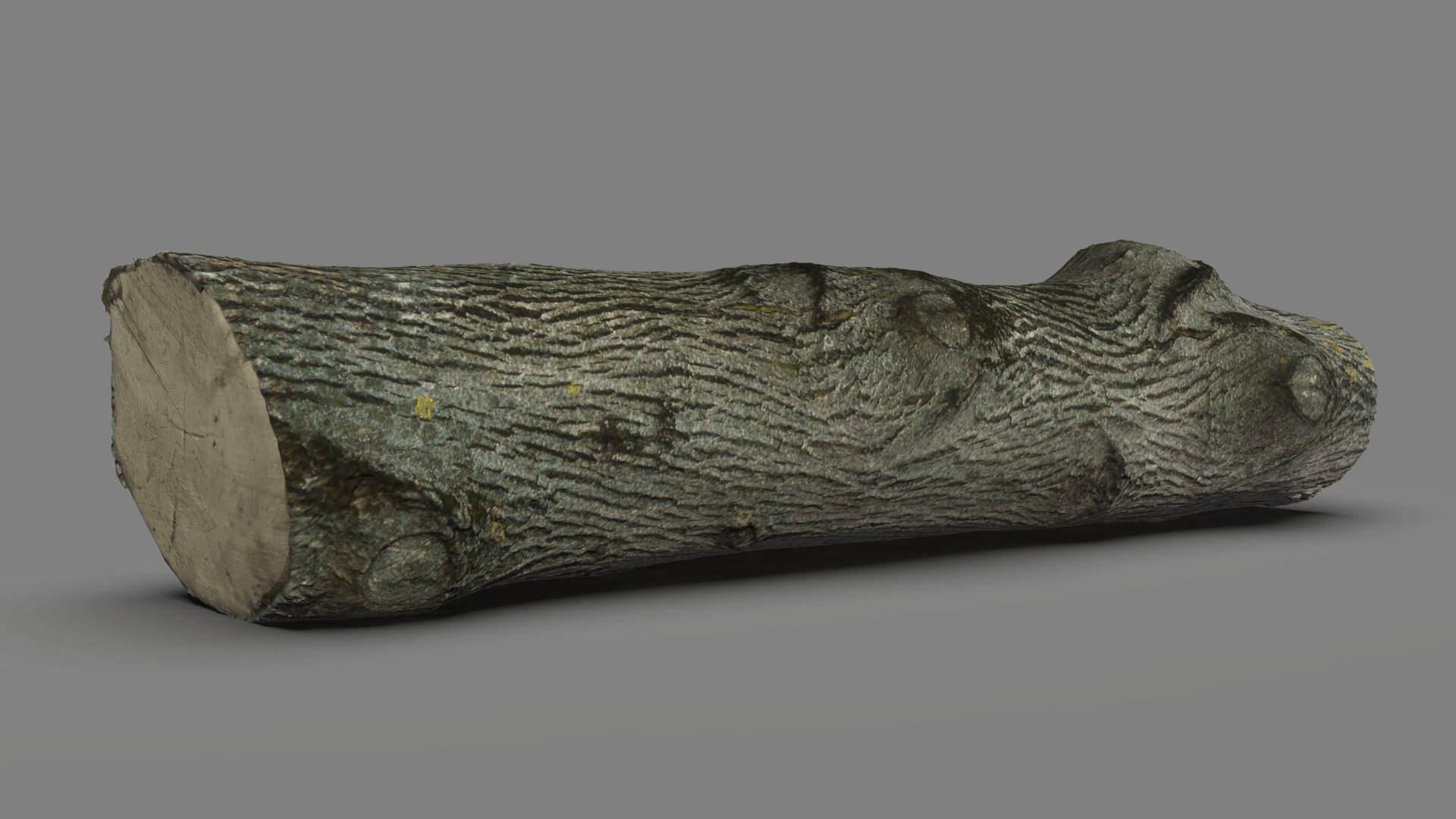 3D Model Walnut Trunk 3d Scan - TurboSquid 2209763