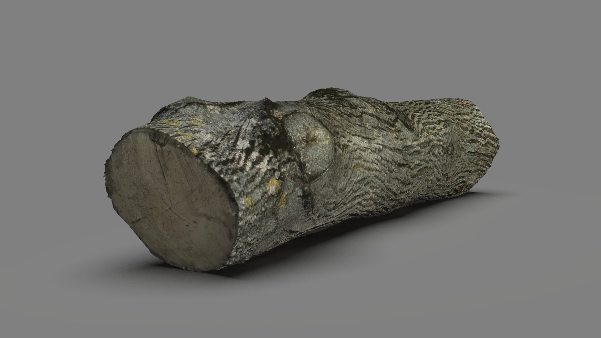 3D Model Walnut Trunk 3d Scan - TurboSquid 2209763