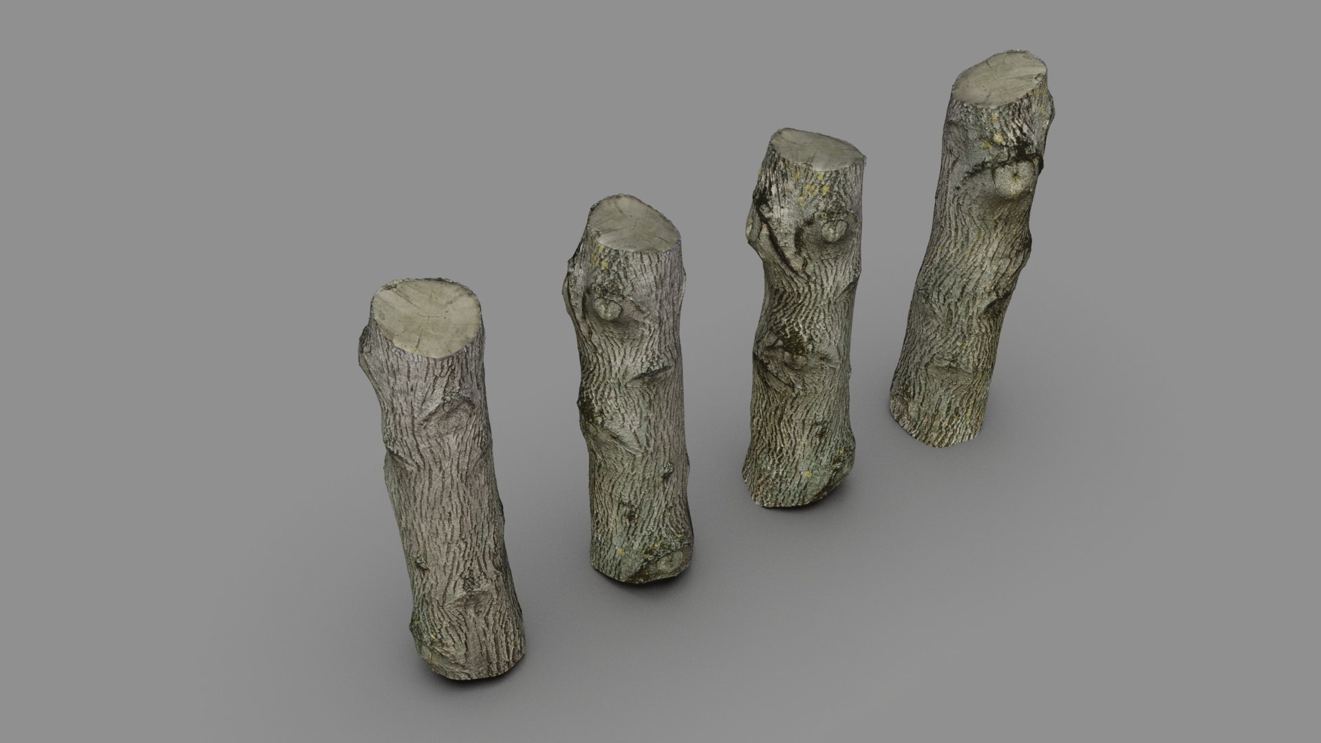 3D Model Walnut Trunk 3d Scan - TurboSquid 2209763