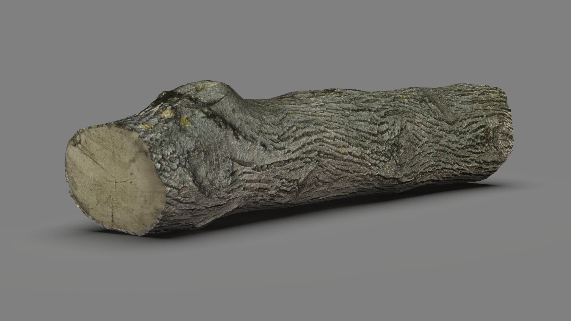 3D Model Walnut Trunk 3d Scan - TurboSquid 2209763