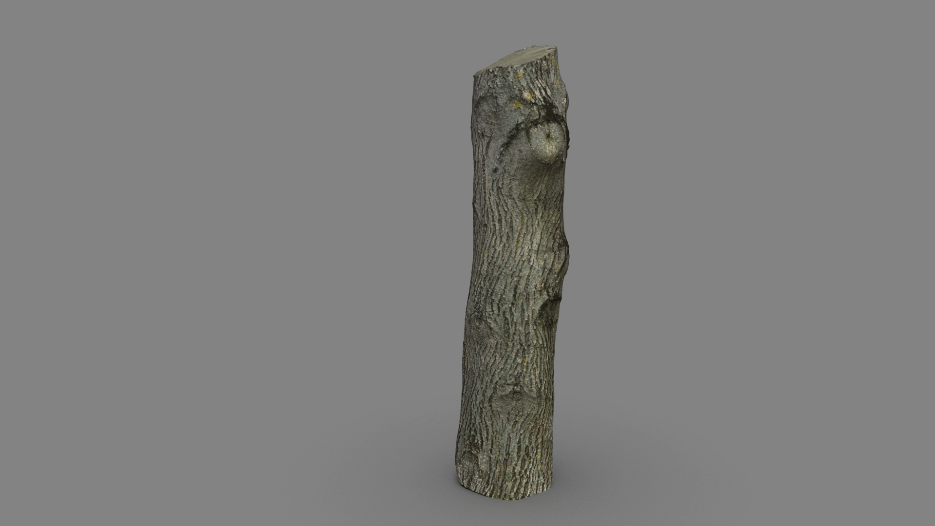 3D Model Walnut Trunk 3d Scan - TurboSquid 2209763