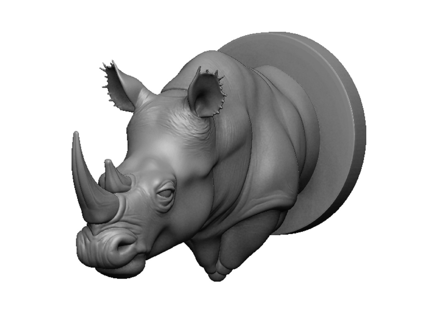 Rhino Head 3D Model - TurboSquid 2430010