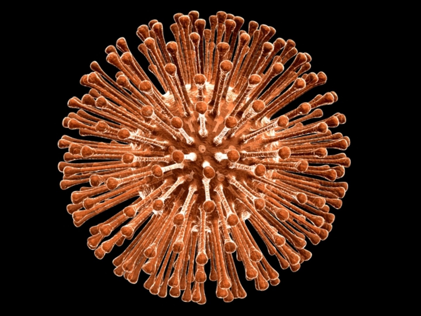 3ds max virus 8