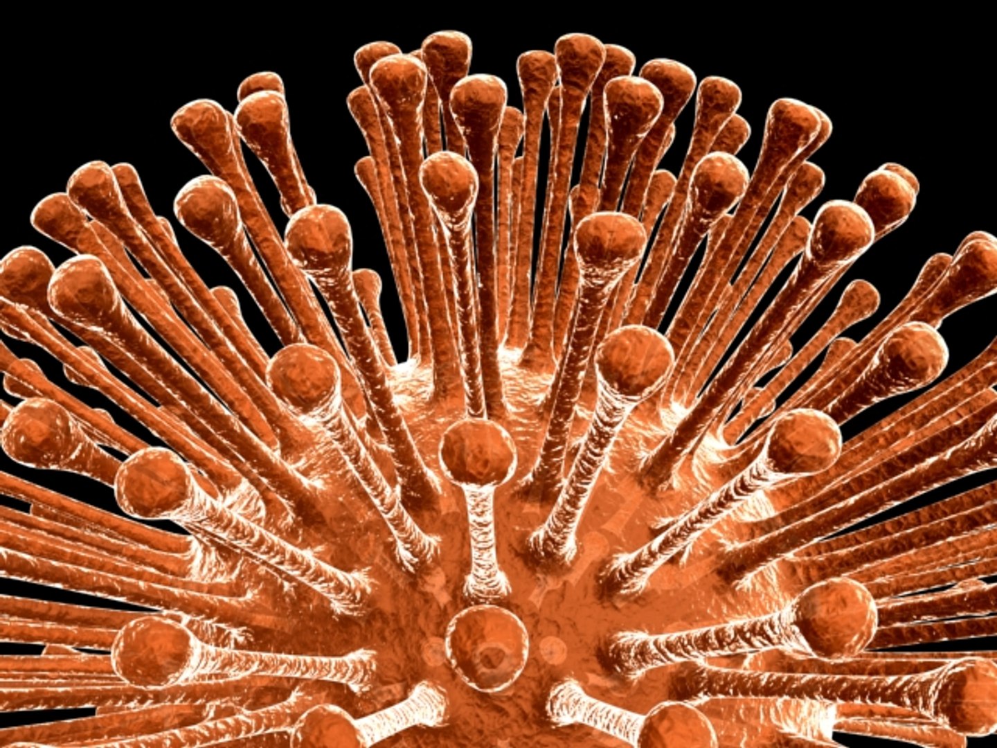 3ds max virus 8