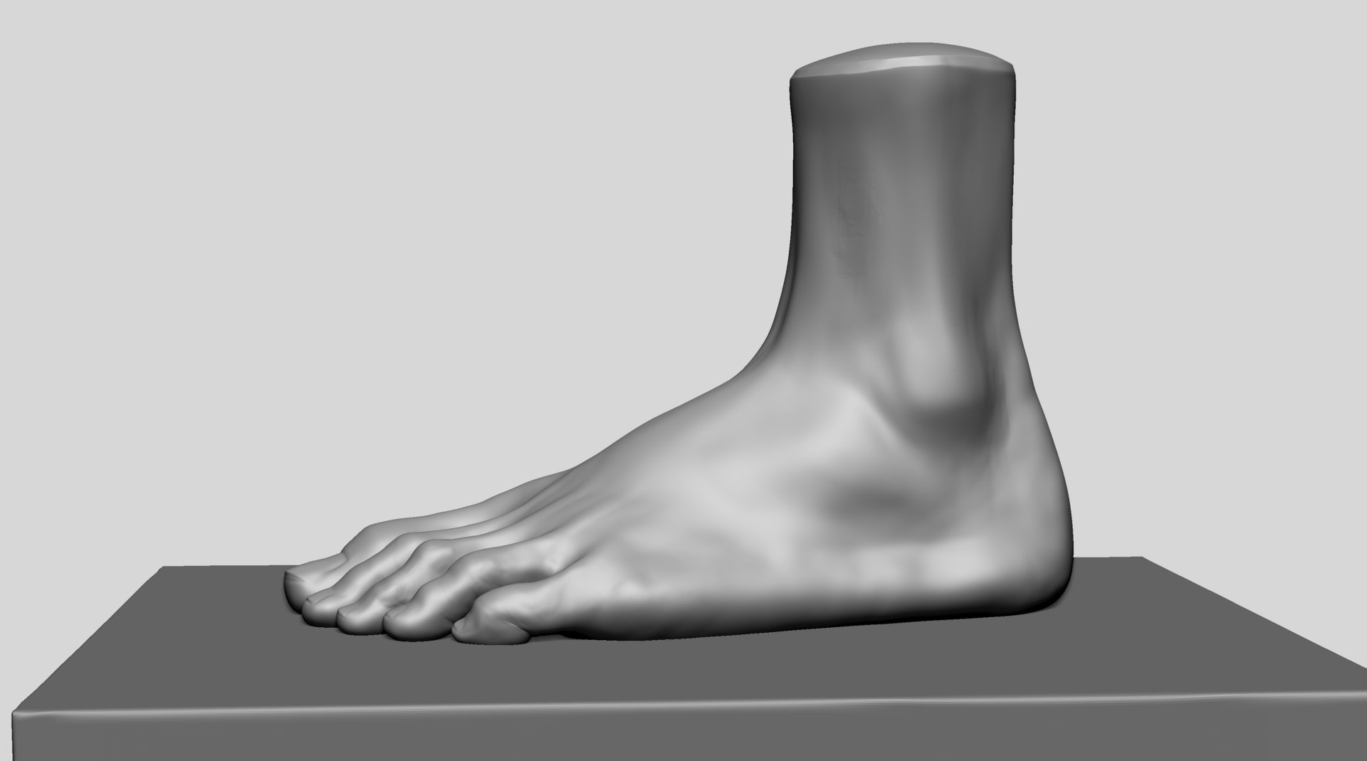 3D Foot A Model - TurboSquid 2207673