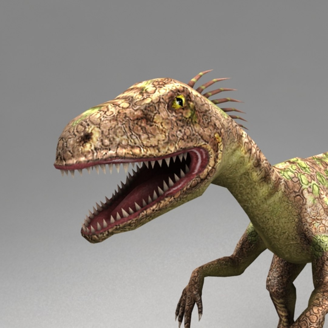 rigged raptor animation 3d model