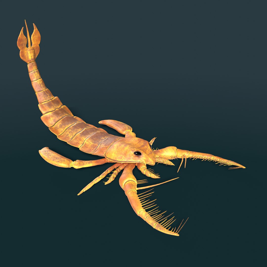 Jaekelopterus Sea Scorpion 3D Model 3D Model - TurboSquid 2337657