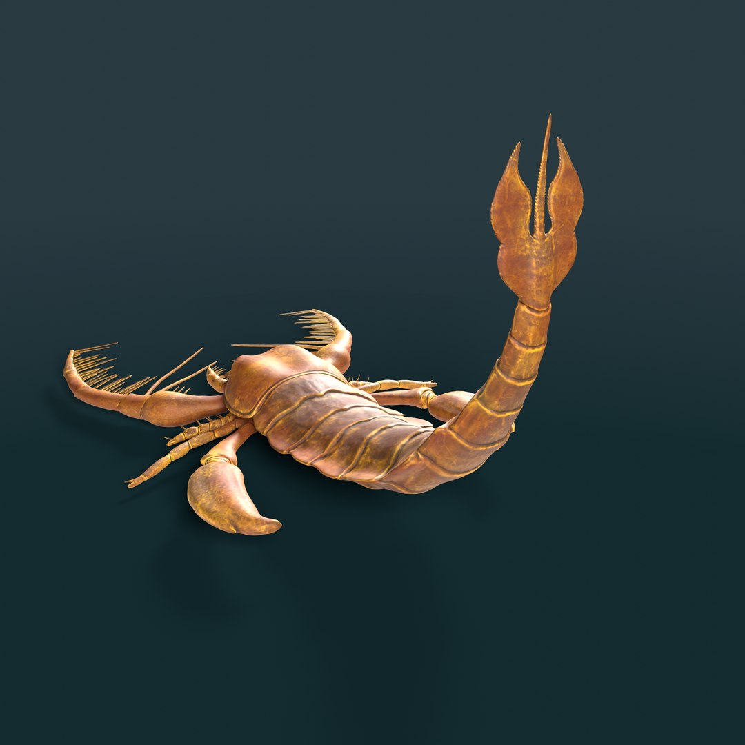 Jaekelopterus Sea Scorpion 3D Model 3D Model - TurboSquid 2337657