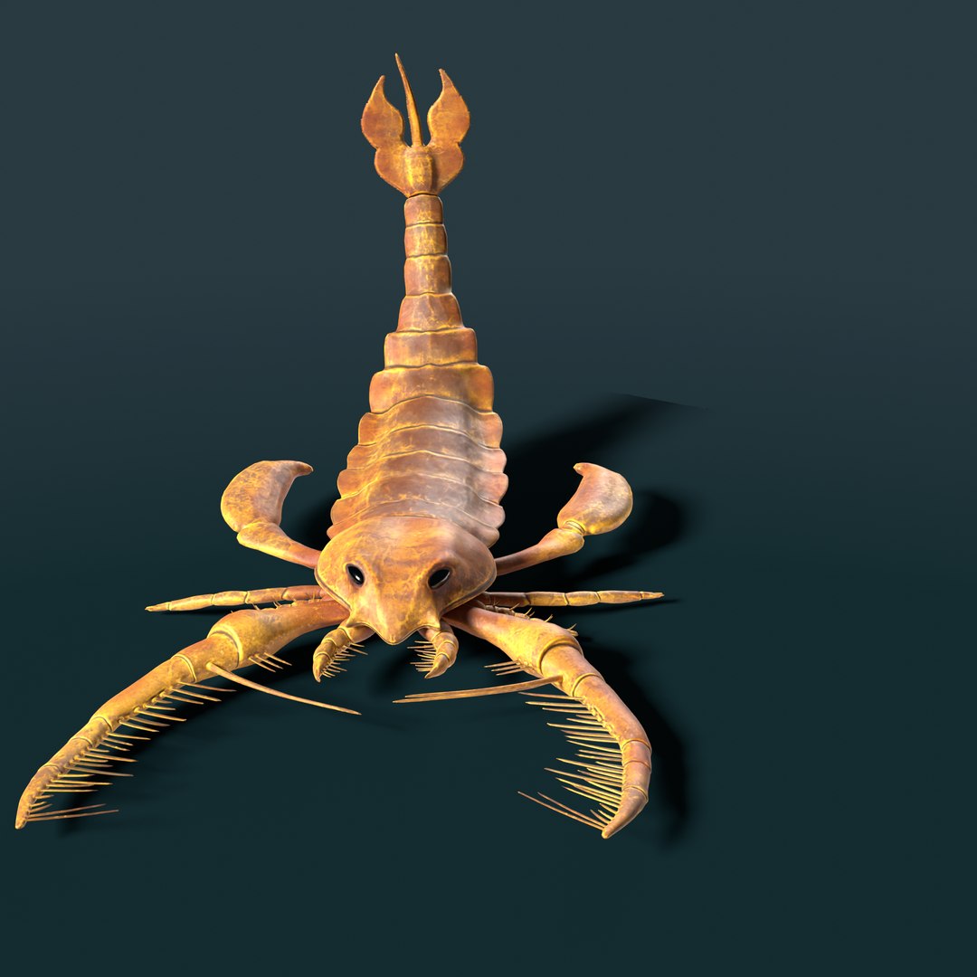 Jaekelopterus Sea Scorpion 3D Model 3D Model - TurboSquid 2337657