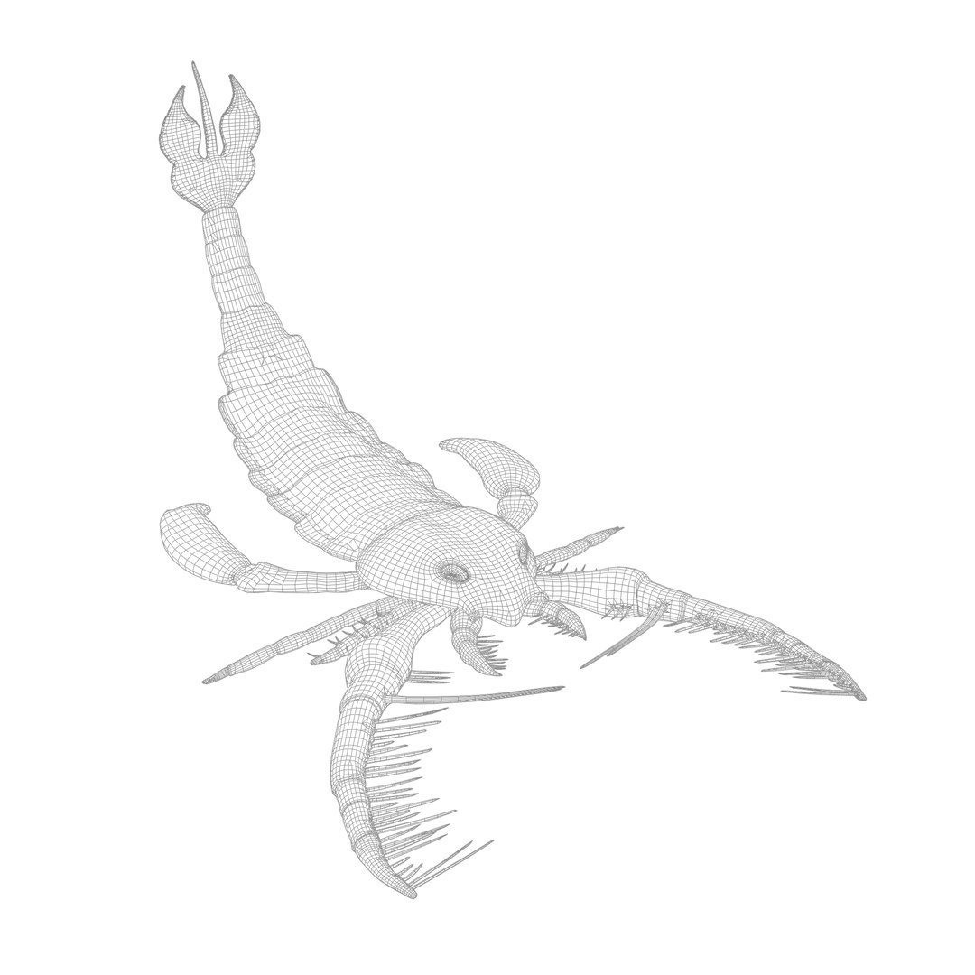 Jaekelopterus Sea Scorpion 3D Model 3D Model - TurboSquid 2337657