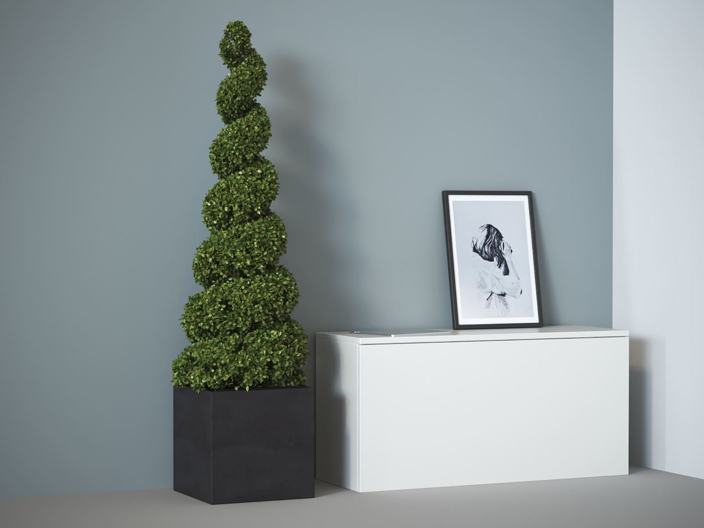 Box Spiral Plant In Concrete Planter 3D - TurboSquid 2162006