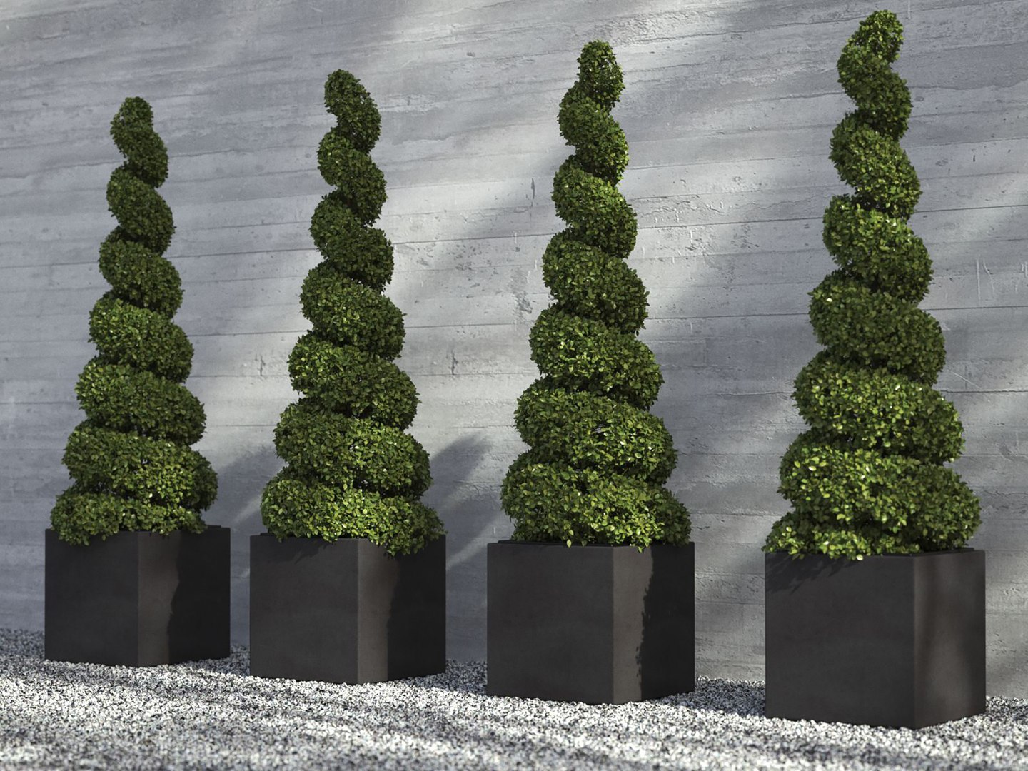 Box Spiral Plant In Concrete Planter 3D - TurboSquid 2162006