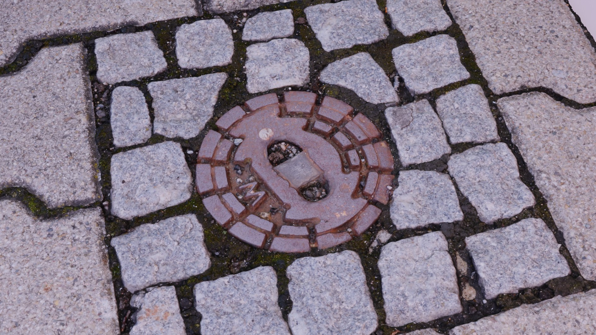 Hydrant Street Cover 02 High-poly 3D Model 3D - TurboSquid 1954352